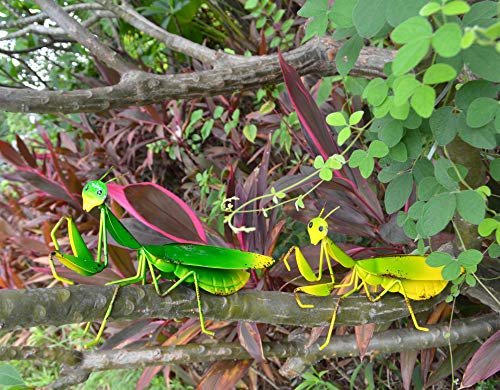 GIFTME 5 Metal Mantis Garden Yard Art Decor Set of 2 Lawn Patio Tree Ornaments Sculpture