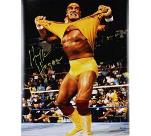 hulk hogan signed unframed 16×20 photo ripping shirt – autographed wrestling miscellaneous items