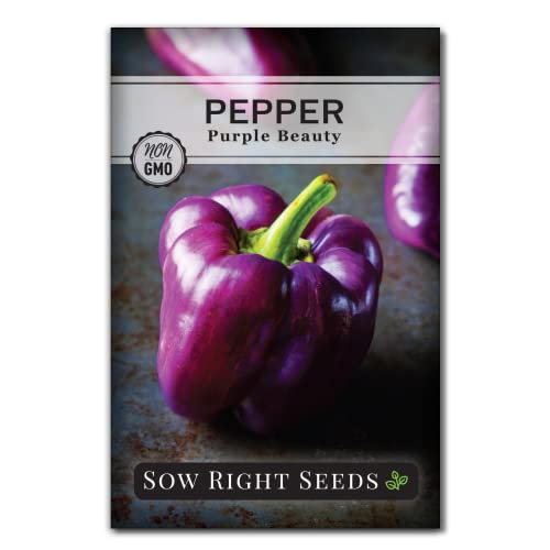 Sow Right Seeds - Sweet Bell Pepper Seed Collection for Planting a Home Garden - Orange, Red, Yellow, Purple and Chocolate Brown Bell Peppers - Non-GMO Heirloom Variety Pack Vegetable Seeds to Plant