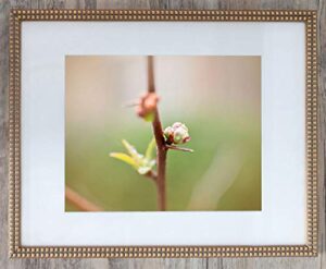 raindrop on branch, limited edition 1, photo 2 of 4 – framed office art- inspirational 24×30-with 20×24-mat