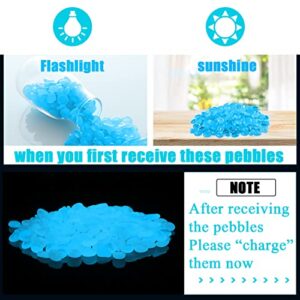 900pcs Glow in The Dark Rocks Outdoor Decorations Stones Small Luminous Pebbles Indoor/Outdoor Decor for Garden Fish Tank Aquarium Planter Walkway - Lake Blue