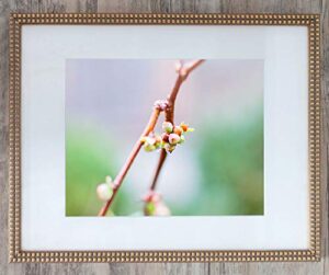 raindrop on branch, limited edition 1, photo 3 of 4 – framed office art- inspirational 24×30-with 20×24-mat