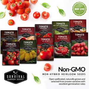 Survival Garden Seeds 10 Tomato Collection - Cherokee Purple, Roma, Red Cherry, Aunt Ruby's Green, Hillbilly, Yellow Pear, Mortgage Lifter, Red Brandywine, Ace 55-10 Packs Non-GMO Heirloom Tomatoes