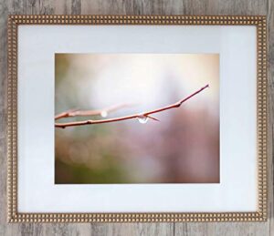 raindrop on branch, limited edition 1 photo 1 of 4