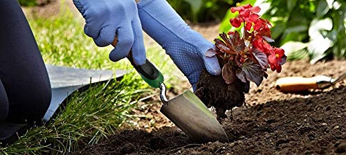 Edward Tools Bend-Proof Garden Trowel - Heavy Duty Polished Stainless Steel - Rust Resistant Oversized Garden Hand Shovel for Quicker Work - Digs Through Rocky/Heavy soils - Comfort Grip (1)