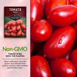 Survival Garden Seeds - Roma Tomato Seed for Planting - Packet with Instructions to Plant and Grow Italian Roma Tomatoes in Your Home Vegetable Garden - Canning Favorite - Non-GMO Heirloom Variety