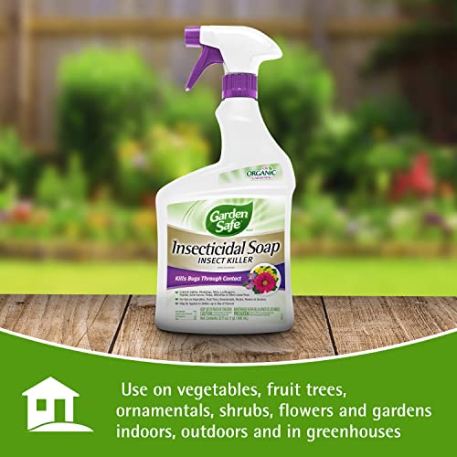 Garden Safe Brand Insecticidal Soap Insect Killer 24 Ounces, Ready-To-Use, For Organic Gardening, 2 Pack