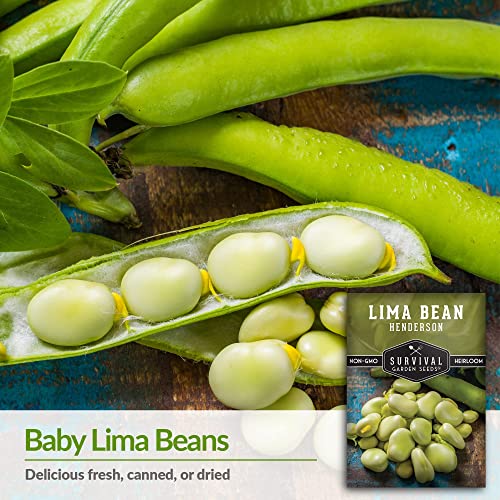 Survival Garden Seeds - Henderson Lima Bean Seed for Planting - 2 Packs with Instructions to Plant and Grow Tender White Butter Beans in Your Home Vegetable Garden - Non-GMO Heirloom Variety