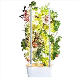 gardyn 2.0 hydroponics growing system indoor garden vertical garden planter | 30 non-gmo indoor plants, herbs & vegetables indoor gardening system – led grow lights | no soil, grow tent or green house