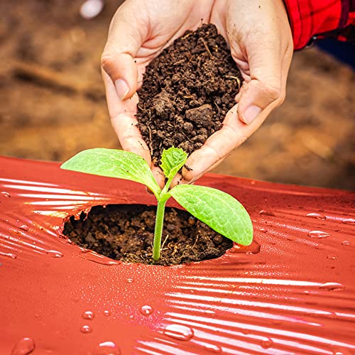 3 Mil Embossed Red Mulch Garden Plastic Film,4ft X 25ft Red Agriculture Crops Grow Film,Red Planting Mulch Film for Potato, Tomato, Eggplant, Strawberry