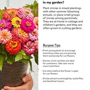 Burpee Cut & Come Again Zinnia Seeds 175 seeds