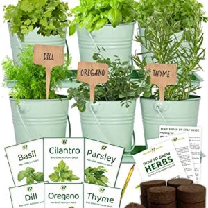 Medicinal Herbs Starter Kit - 6 Different Heirloom, Non GMO Herb Seeds - Cilantro, Basil, Parsley, Oregano, Dill, Thyme - Deluxe Metal Pots, Soil, Markers Included - Made in USA - Indoor and Outdoor