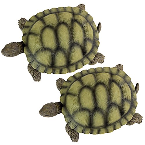 Design Toscano QM91887611 Gilbert The Box Turtle Garden Decor Animal Statue, Set of 2, full color