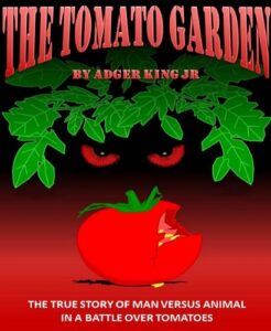 the tomato garden