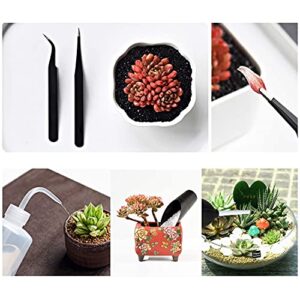 21 Pieces Succulent Plant Tools - Succulent Hand Transplanting Garden Tool Kit - Plant Care Accessories for Bonsai and Miniature Indoor Plants - Succulent Terrarium Tools Set Indoor Gardening Tools