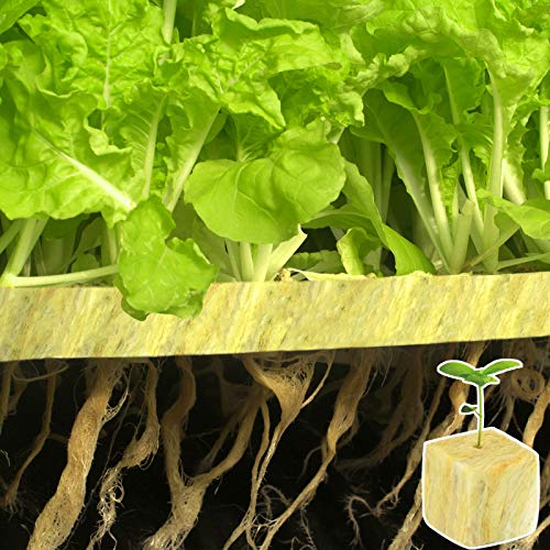 Halatool 1.5 Inch Garden Rockwool Stonewool, Rockwool Grow Cubes, 4 Sheets Starter Plugs for Soilless Cultivation, Seedlings Cuttings, Clone Plants, Hydroponics Germination Start (196 Plugs in Total)