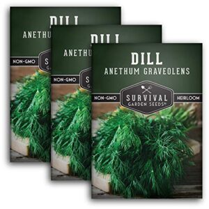 survival garden seeds – dill seed for planting – packet with instructions to plant and grow popular pickling herbs in your home vegetable and herb garden – non-gmo heirloom variety – 3 pack