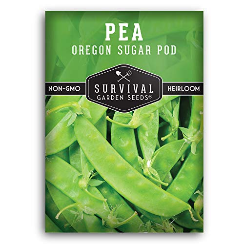 Survival Garden Seeds -Oregon Sugar Pod II Pea Seed for Planting - Packet with Instructions to Plant and Grow Delicious Snow Peas in Your Home Vegetable Garden - Non-GMO Heirloom Variety