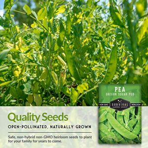 Survival Garden Seeds -Oregon Sugar Pod II Pea Seed for Planting - Packet with Instructions to Plant and Grow Delicious Snow Peas in Your Home Vegetable Garden - Non-GMO Heirloom Variety