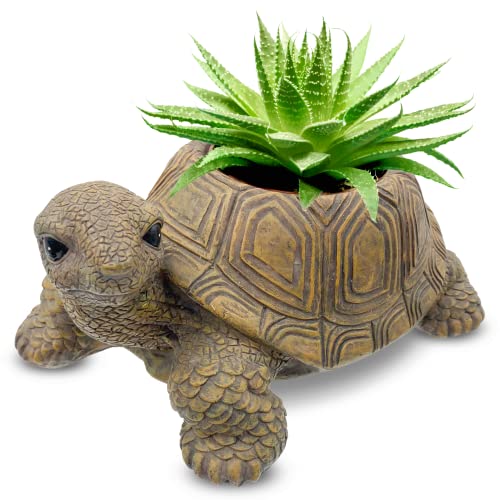 Turtle Planter for Succulents - Animal Planter for Indoor and Outdoor Plants, Turtle Pot Makes Ideal Gift for Any Turtle Lover