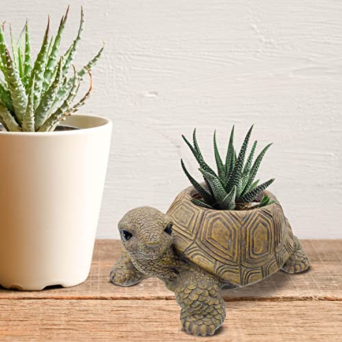 Turtle Planter for Succulents - Animal Planter for Indoor and Outdoor Plants, Turtle Pot Makes Ideal Gift for Any Turtle Lover