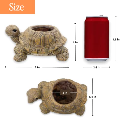 Turtle Planter for Succulents - Animal Planter for Indoor and Outdoor Plants, Turtle Pot Makes Ideal Gift for Any Turtle Lover