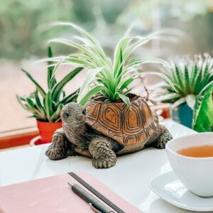 Turtle Planter for Succulents - Animal Planter for Indoor and Outdoor Plants, Turtle Pot Makes Ideal Gift for Any Turtle Lover