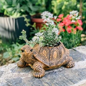 Turtle Planter for Succulents - Animal Planter for Indoor and Outdoor Plants, Turtle Pot Makes Ideal Gift for Any Turtle Lover