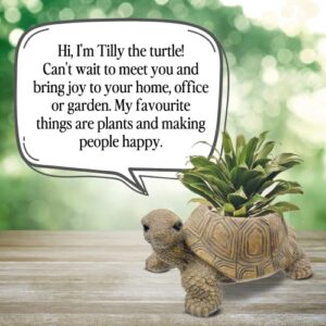 Turtle Planter for Succulents - Animal Planter for Indoor and Outdoor Plants, Turtle Pot Makes Ideal Gift for Any Turtle Lover