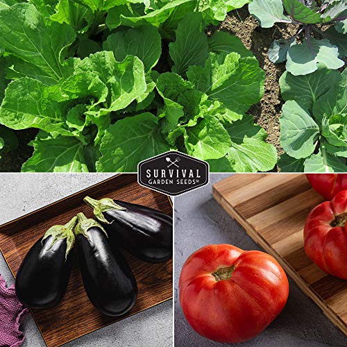 Survival Garden Seeds Vegetable Garden Collection Seed Vault - Non-GMO Heirloom Family Garden Seeds for Planting - Non-Hybrid Varieties - Mix of Vegetable Seed Packets - 15 Varieties of Vegetables