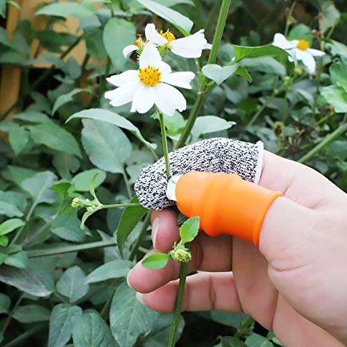 ZGYFJCH Garden Silicone Thumb Knife, Finger Knife-Plants Picking Trim Tools(L)