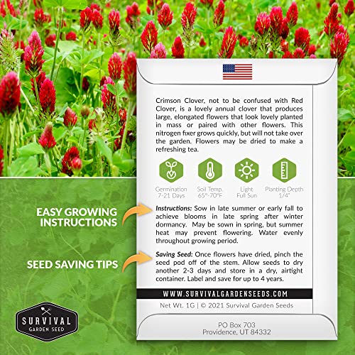 Survival Garden Seeds - Crimson Clover Seed for Planting - Packet with Instructions to Plant and Grow Lovely Flowers that also are a Cover Crop in Your Home Vegetable Garden - Non-GMO Heirloom Variety