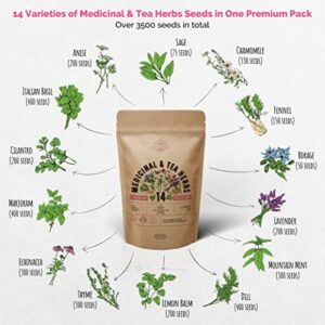 14 Medicinal & Tea Herb Seeds Variety Pack for Planting Indoor & Outdoors. 3500+ Non-GMO Heirloom Herbal Garden Seeds: Anise, Borage, Cilantro, Chamomile, Echinacea, Rosemary, Lavender Seeds & More