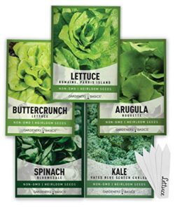 lettuce and greens heirloom vegetable seed non-gmo seeds for planting indoors and outdoor 5 packs – lettuce buttercrunch, romaine, arugula, kale and spinach by gardeners basics