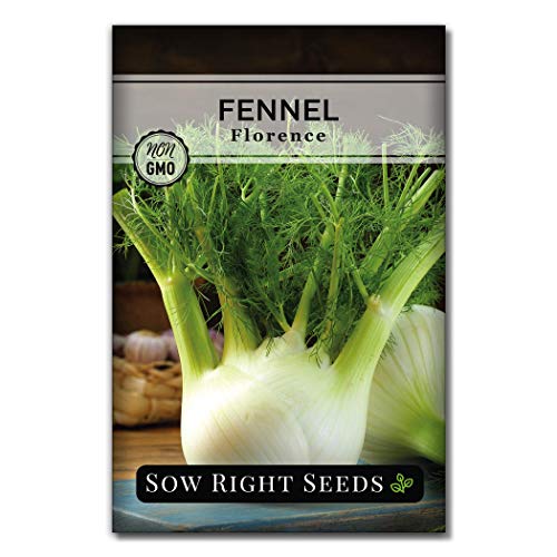 Sow Right Seeds - Fennel Seeds for Planting - Non-GMO Heirloom Seeds with Instructions to Plant an Easy to Grow Home Herb Garden - Indoor or Outdoor