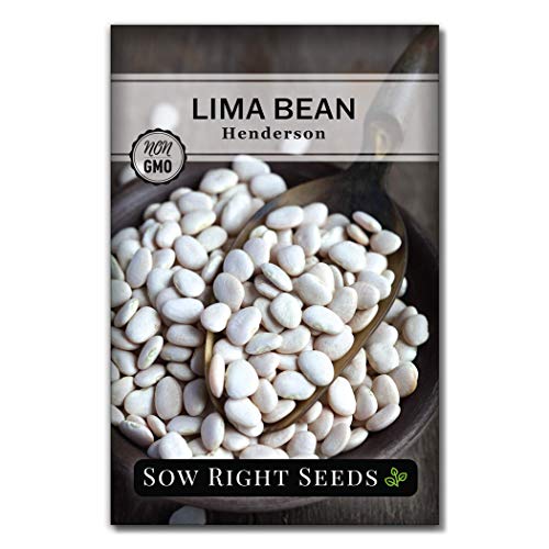 Sow Right Seeds - Henderson Lima Bean Seed for Planting - Non-GMO Heirloom Packet with Instructions to Plant a Home Vegetable Garden