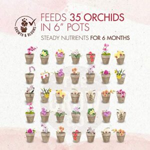 Orchid Plant Food (5 oz, 50+ Applications) - Bloom Booster Fertilizer Pellets for Orchids in Pots - Slow Release Nutrients for Healthy Flower & Reblooms