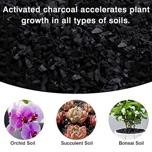 YeeSite 1 Quart Sized Bag 100% All Natural Hardwood Charcoal- Activated Plant Charcoal for Soil Amendment, Orchids, Terrariums, Planting, Garden