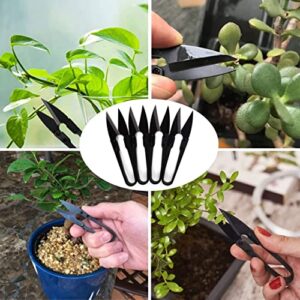 Sago Brothers Bonsai Pruning Scissors 5 PCS, Small Pruner Shears, Bud Leaves Trimmer, Garden Shears for Plants, Gardening Clippers for Flower, Stainless Steel Bud and Bonsai Trimming Pruners Trimmers