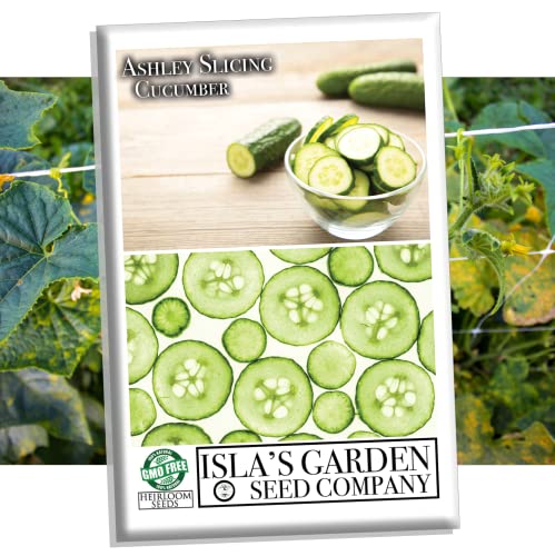 Ashley Slicing Cucumber Seeds for Planting, 50+ Heirloom Seeds Per Packet, (Isla's Garden Seeds), Non GMO Seeds, Botanical Name: Cucumis sativus, Great Home Garden Gift