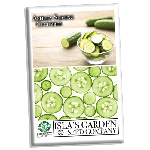 Ashley Slicing Cucumber Seeds for Planting, 50+ Heirloom Seeds Per Packet, (Isla's Garden Seeds), Non GMO Seeds, Botanical Name: Cucumis sativus, Great Home Garden Gift