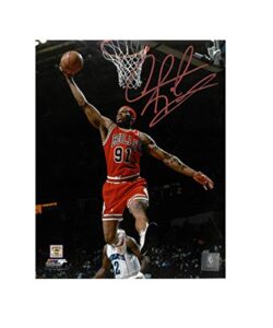 dennis rodman autographed chicago bulls 8×10 photo #2