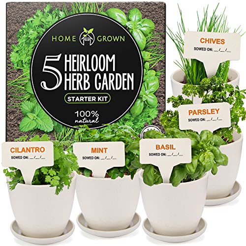 Indoor Herb Garden Starter Kit - 5 Herb Plant Grow Kit w/ Pots & Soil - DIY Heirloom Herb Seeds Home Gardening Kit - Kitchen Window Garden Growing Kit - Unique Gardening Gifts for Women & Men