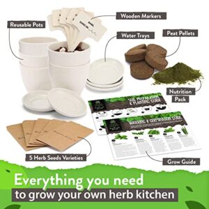 Indoor Herb Garden Starter Kit - 5 Herb Plant Grow Kit w/ Pots & Soil - DIY Heirloom Herb Seeds Home Gardening Kit - Kitchen Window Garden Growing Kit - Unique Gardening Gifts for Women & Men