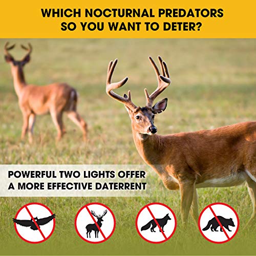 4 Packs Animal Repellent - Solar Predator Control Lights - Fox Deterrents for Gardens - Deer Repellent Devices - Raccoon Repellent - Cat Repellent - Fox Repellent - Motion Sensor Eye Guard