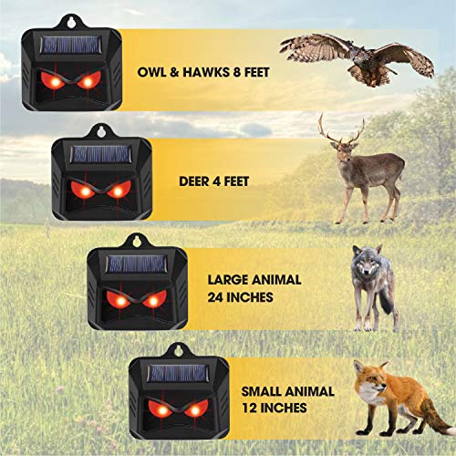 4 Packs Animal Repellent - Solar Predator Control Lights - Fox Deterrents for Gardens - Deer Repellent Devices - Raccoon Repellent - Cat Repellent - Fox Repellent - Motion Sensor Eye Guard