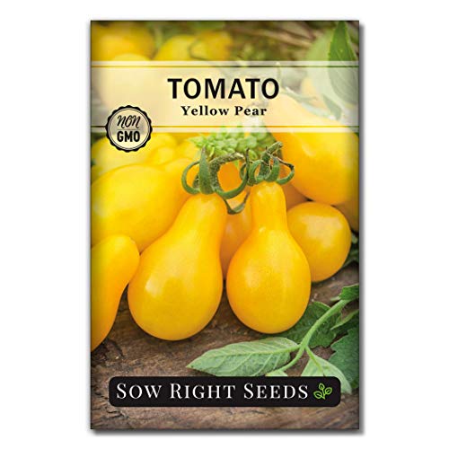 Sow Right Seeds - Yellow Pear Tomato Seed for Planting - Non-GMO Heirloom Packet with Instructions to Plant a Home Vegetable Garden - Great Gardening Gift (1)