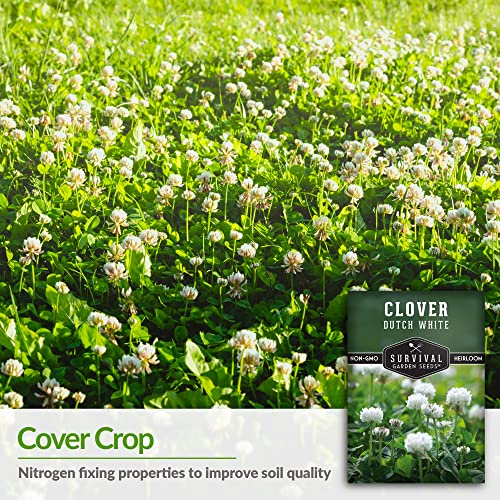 Survival Garden Seeds - Dutch White Clover Seed for Planting - Packet with Instructions to Plant and Grow White Clover as Ground Cover, Erosion Control or Cover Crop - Non-GMO Heirloom Variety