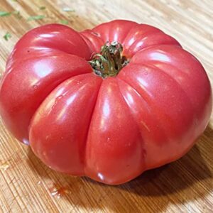 EarlyBirdSpecial! Beefsteak Tomato Seeds for Planting Vegetables and Fruits.Heirloom Tomato Vegetable Seeds for Planting Home Garden & Hydroponics Seed Pods-50ct Beefsteak Tomato Plants Seeds