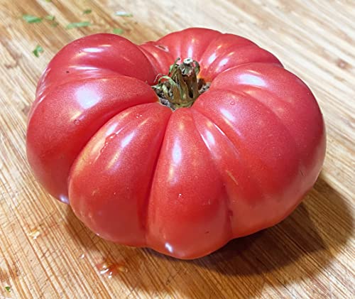 EarlyBirdSpecial! Beefsteak Tomato Seeds for Planting Vegetables and Fruits.Heirloom Tomato Vegetable Seeds for Planting Home Garden & Hydroponics Seed Pods-50ct Beefsteak Tomato Plants Seeds